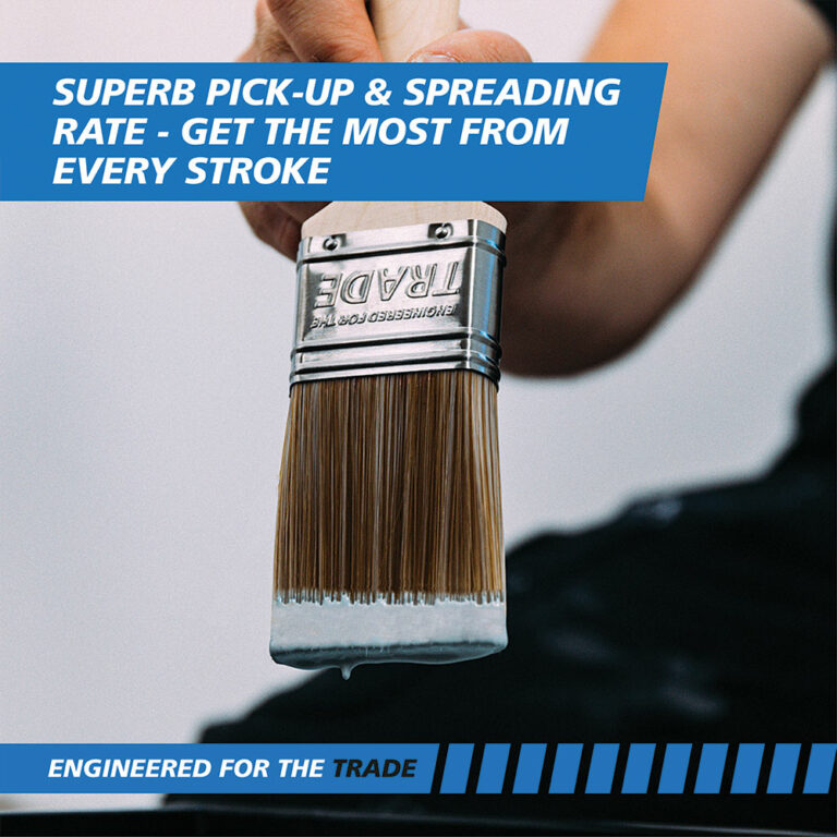 10 Brush Pack – Harris Trade